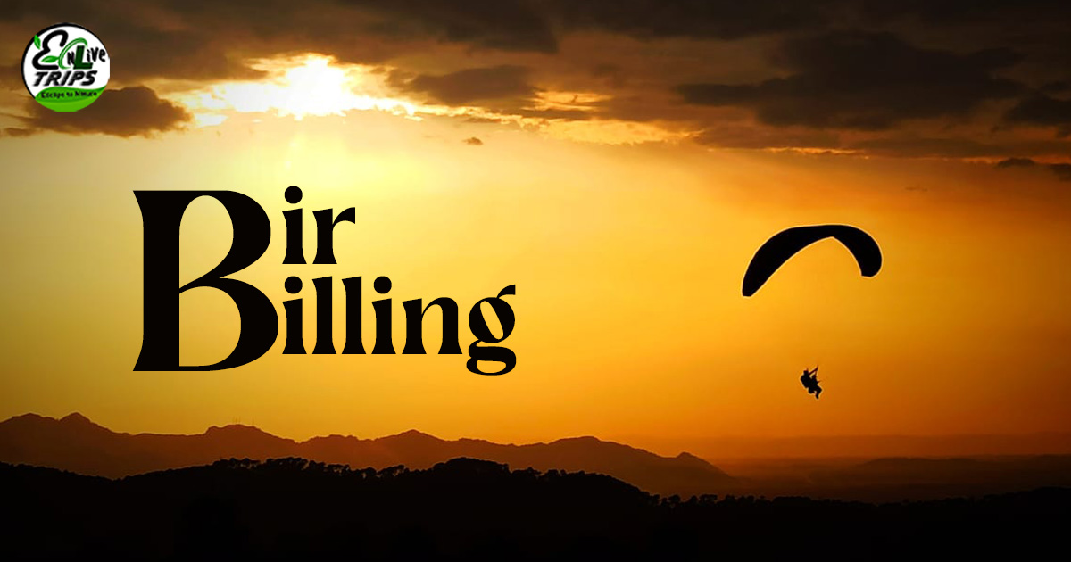 bir billing tour packages